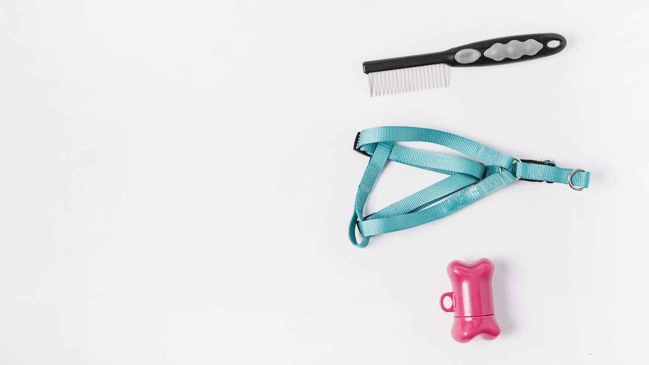 The Best Pet Grooming Software for Your Business | AtaksAPP